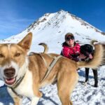 Willow: Traditional Alaskan Dog Sledding Ride - The Value: Is This Tour Worth It?