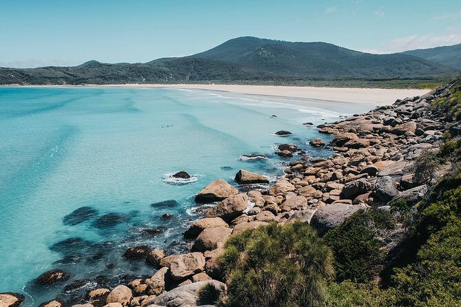 Wilsons Promontory Hiking Day Tour - 8 Person Max Small Group - What’s Included and What to Consider