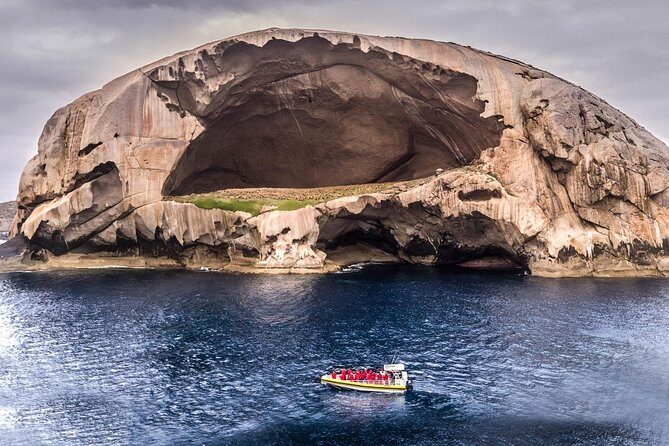 Wilsons Promontory Wilderness Cruise from Tidal River - The Itinerary Breakdown: What You’ll See and Do