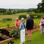 Wine & Cheese in the Somerset Valleys - with Michelin lunch - The Itinerary in Detail