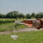 WINE EXPERIENCE - Le Vie Angarano winery - Exploring the Itinerary: What You Can Expect