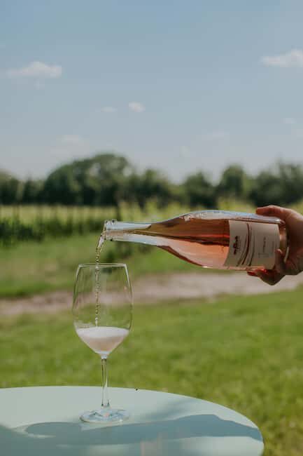 WINE EXPERIENCE - Le Vie Angarano winery - Exploring the Itinerary: What You Can Expect
