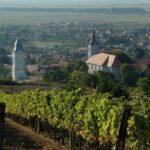 Wine taste in Tokaj Private Day Tour from Budapest - The Value of the Experience
