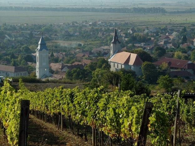 Wine taste in Tokaj Private Day Tour from Budapest - The Value of the Experience