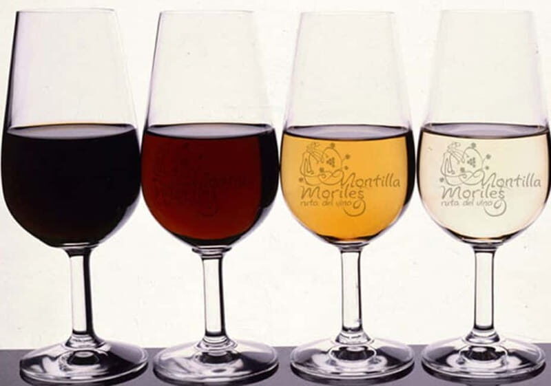 Wine Tasting and local tapas delight in Cordoba - What to Expect from the Experience