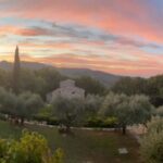 Wine tasting and visit to Cardaneto Castle - Who Should Consider This Tour?