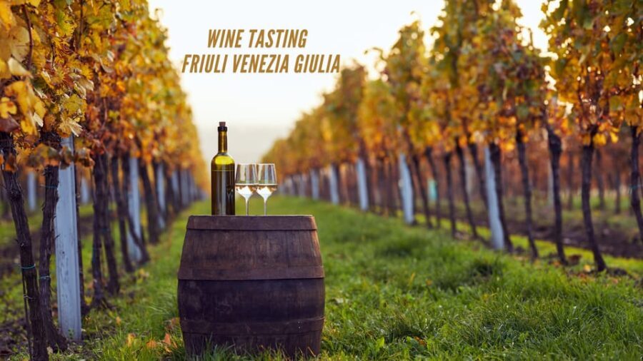 Wine tasting and winery tour in Friuli Venezia Giulia - An In-Depth Look at the Tour