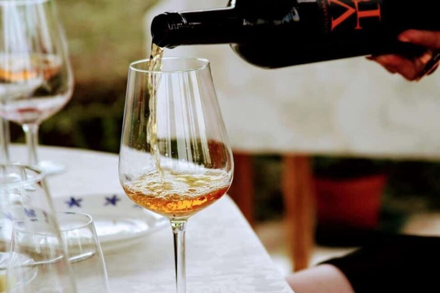 Wine tasting in the family cellar - Key Points