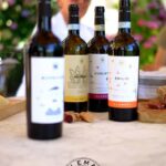 Wine Tasting in the Heart of Monferrato - Classic - Practical Tips for Travelers