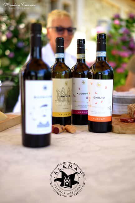 Wine Tasting in the Heart of Monferrato - Classic - Practical Tips for Travelers