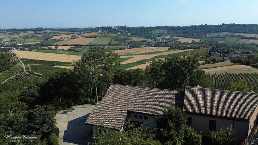 Wine Tasting in the Heart of Monferrato - Discovering Grignolino - The Itinerary in Detail