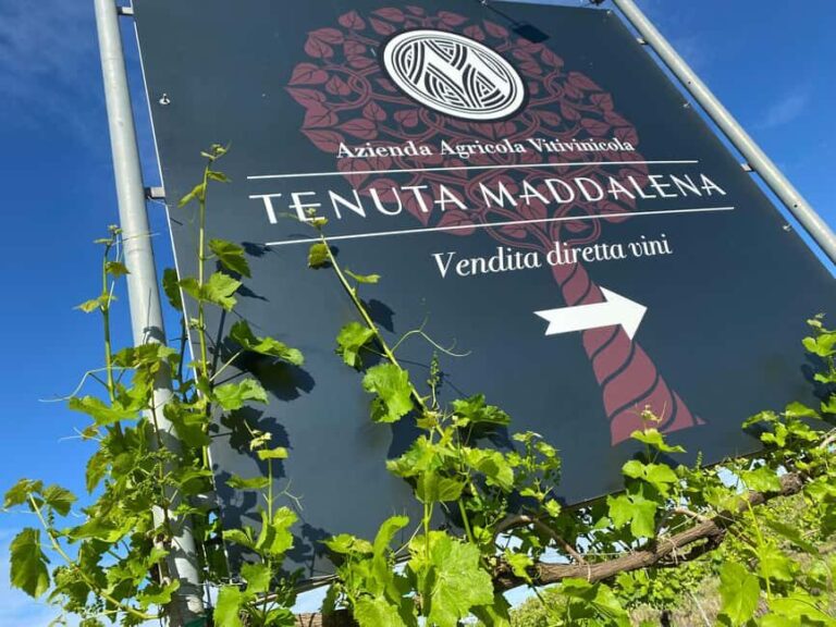 Wine tasting in the morainic hills at Tenuta Maddalena - What to Expect from Your Visit