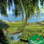 Wine tour in the canton of Vaud - Lavaux vineyards - Who Will Love This Tour?