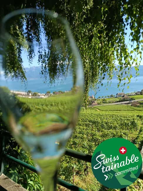 Wine tour in the canton of Vaud - Lavaux vineyards - Who Will Love This Tour?
