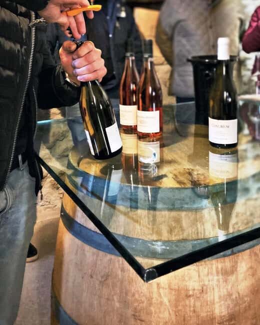 Wine Tour & Tasting of 6 Wines  Le Macchie, near Rome - Practicalities and Value