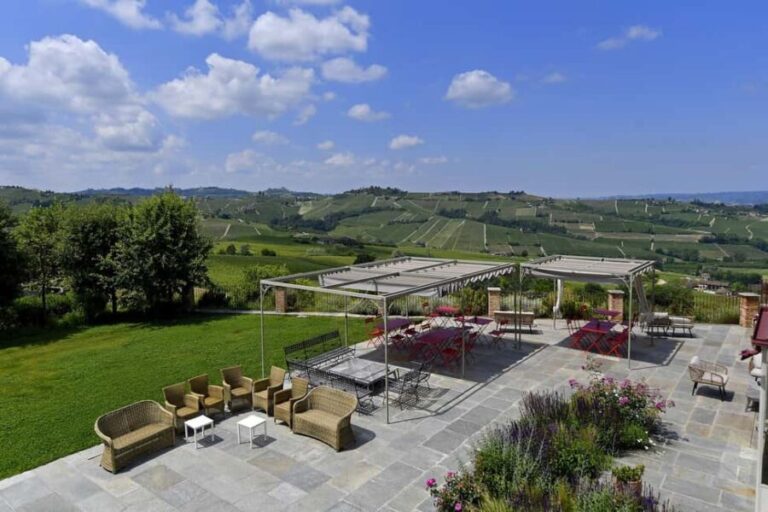 Wine Tour.Visit a Small Organic Winery in the Langhe/Cascina Alberta - Who Should Consider This Experience?