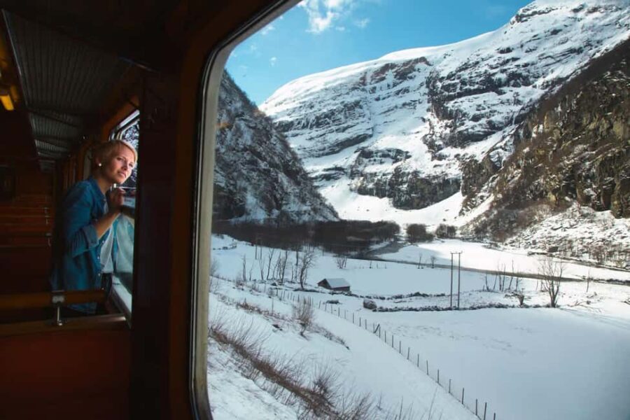 Winter Tour Viking Village, Nærøyfjord Cruise & Flåm Railway - Why This Tour Works Well