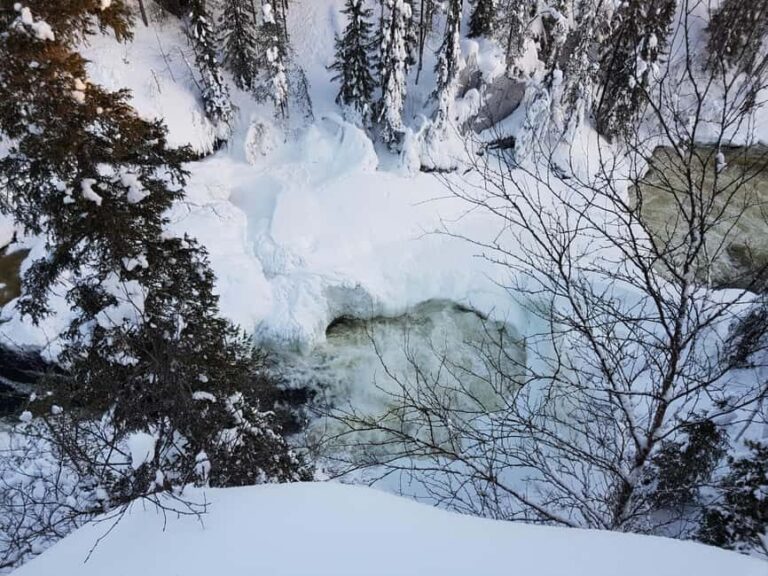 Winter Walk in Oulanka National Park - The Campfire Pancakes and Wildberry Juice