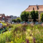 Wroclaw for a good start e-bike tour - Why Choose the Wroclaw E-bike Tour?