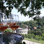 Wuerzburg: Wine mountain rally with wine tasting and group dynamics - FAQs