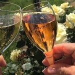 Yarra Valley Winery Tour from Melbourne - Lunch included - Key Points