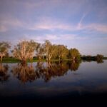 Yellow Water Cruise - Kakadu - The Sum Up