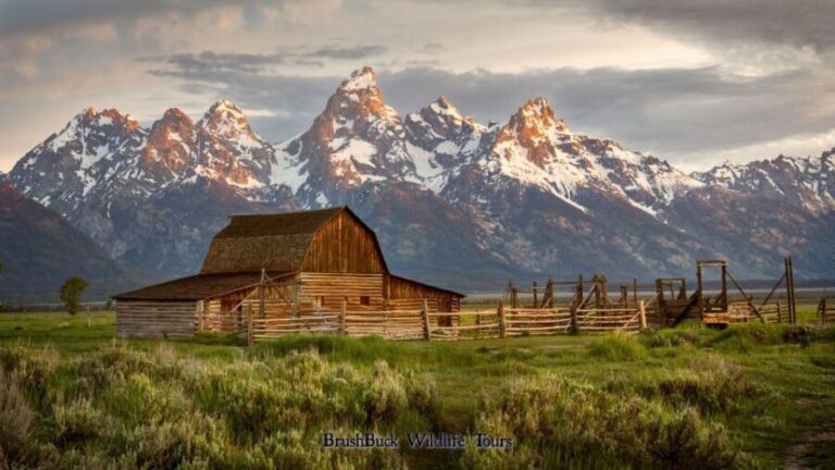 Yellowstone & Grand Tetons: 4-Day/3-Night Wildlife Adventure - Practicalities: What You’ll Need to Know