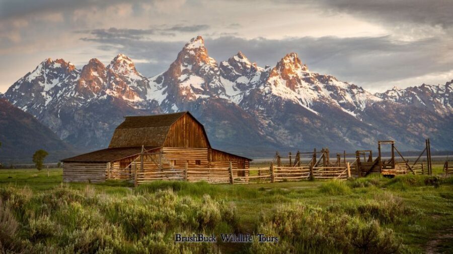Yellowstone & Grand Tetons: 4-Day/3-Night Wildlife Adventure - Practicalities: What You’ll Need to Know