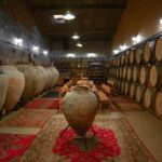 Yerevan: Gevorkian Winery Tour and Tasting Experience - Who Should Consider This Tour?
