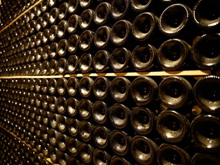 Your Cava, Your Story  Wine workshop experience at Artcava - The Break Itinerary: What to Expect