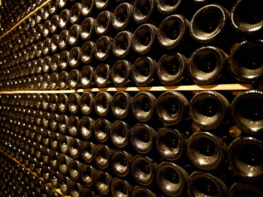 Your Cava, Your Story  Wine workshop experience at Artcava - The Break Itinerary: What to Expect