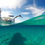 Zadar: Dugi Otok Island - 2x Snorkeling & Sandy Beach - 7 hr - Who Should Consider This Tour?