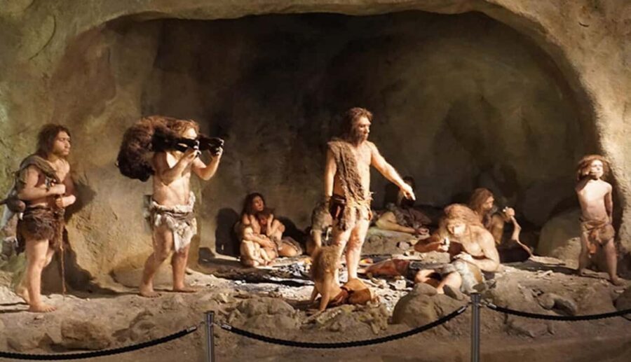 Zagreb: Krapina Neanderthal Museum & Trakoan Castle Tour - The Journey to Trakoan Castle