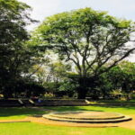 04 Days Tour Package, Sri Lanka - Private & Customize Tour - The Value in the Details