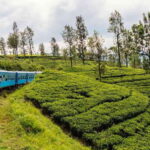 09 Days Heritage Trails of Sri Lanka - The Itinerary in Detail