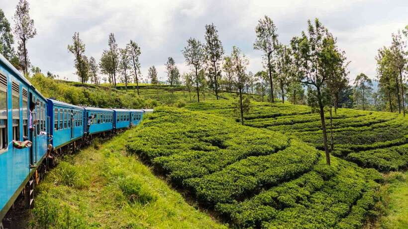 09 Days Heritage Trails of Sri Lanka - The Itinerary in Detail