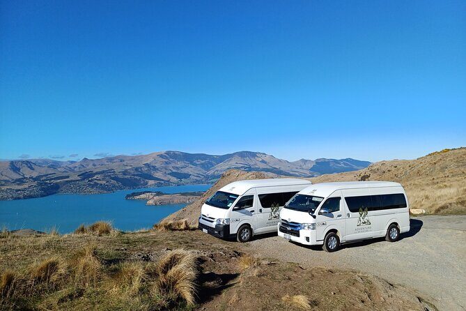 1/2-day Christchurch Scenic Highlights (Shore Excursion) - Analyzing the Value