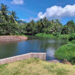 1/2 day "Treasures of Raiatea" by boat - ideal for cruise passengers - Who Will Love This Tour?