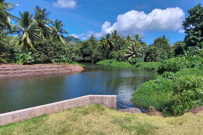 1/2 day "Treasures of Raiatea" by boat - ideal for cruise passengers - Who Will Love This Tour?