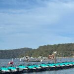 1.5 Hr Jet Ski Safari - Why We Think This Tour Works Well