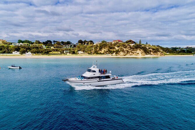 1.5hour Scenic and Wildlife luxury cruise - The Itinerary in Detail