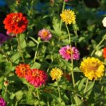 1- D adventure tour: Beng Mealea and Peung Komnou - The Practicalities