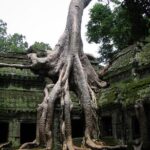 1-Day Angkor Wat Sunrise & All Interesting Temples Private Tour - Logistics and Practicalities