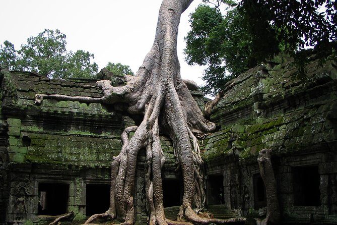 1-Day Angkor Wat Sunrise & All Interesting Temples Private Tour - Logistics and Practicalities
