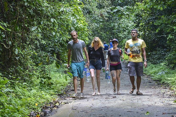 1-day Explore Cuc Phuong National Park from Hanoi - Practicalities and Value