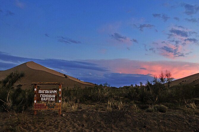 1 Day Express Tour: Altyn Emel National park - The logistics: what to expect