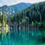1 Day Group Tour to Charyn Canyon, Kolsay Lake and Kaindy Lake - What Travelers Are Saying