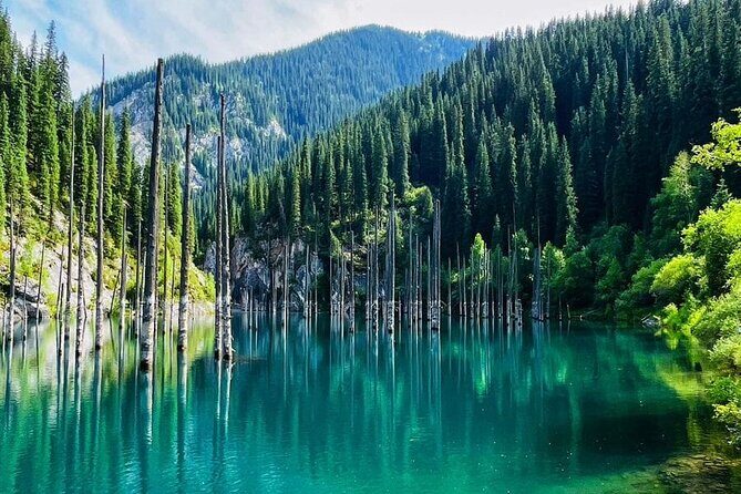 1 Day Group Tour to Charyn Canyon, Kolsay Lake and Kaindy Lake - What Travelers Are Saying