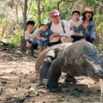 1 Day Komodo Trip By Shared Fast Boat - Who Will Love This Tour?