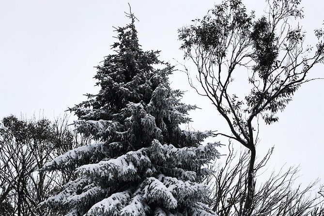 1 day Lake mountain snow tour - Final Thoughts: Who’s This Tour Best For?